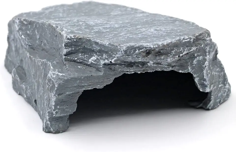 The Hidden World Of The Iguana Burrow: A Fascinating Underground ...