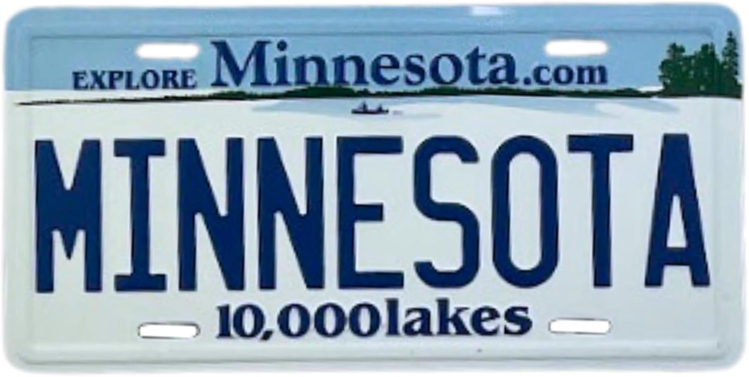Amazon.com: Small Minnesota License Plate Magnet, Collectible State ...