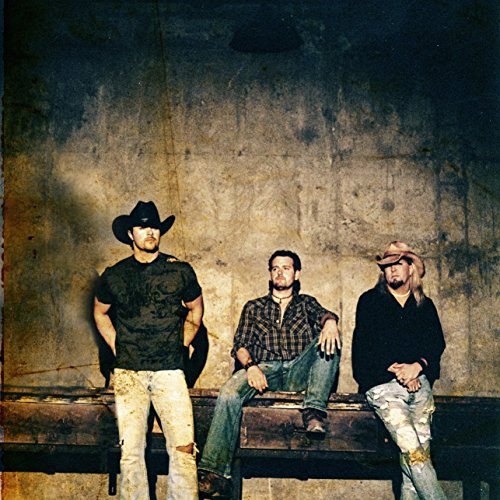 10 Products that'll make Your Old Bird Sing Again: A Complete Buying ...