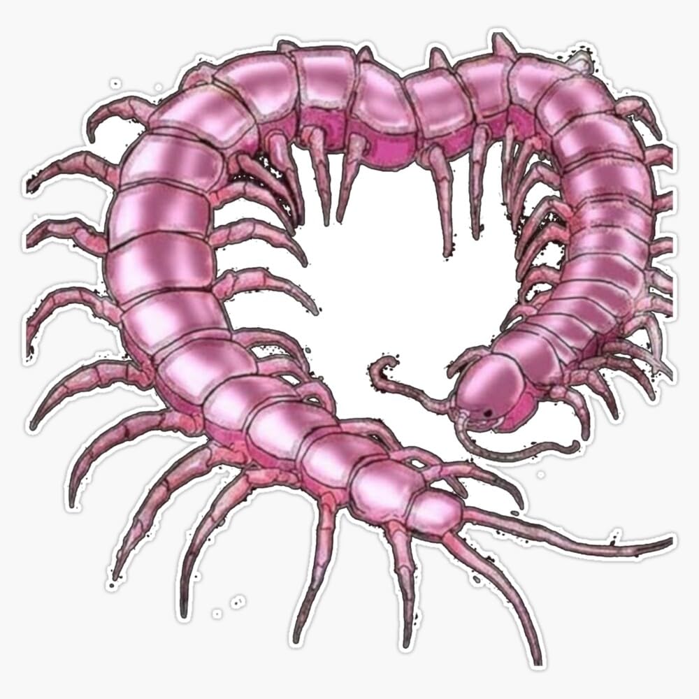 Amazon.com: Cute Pink Weirdcore Centipede Sticker Vinyl Waterproof ...