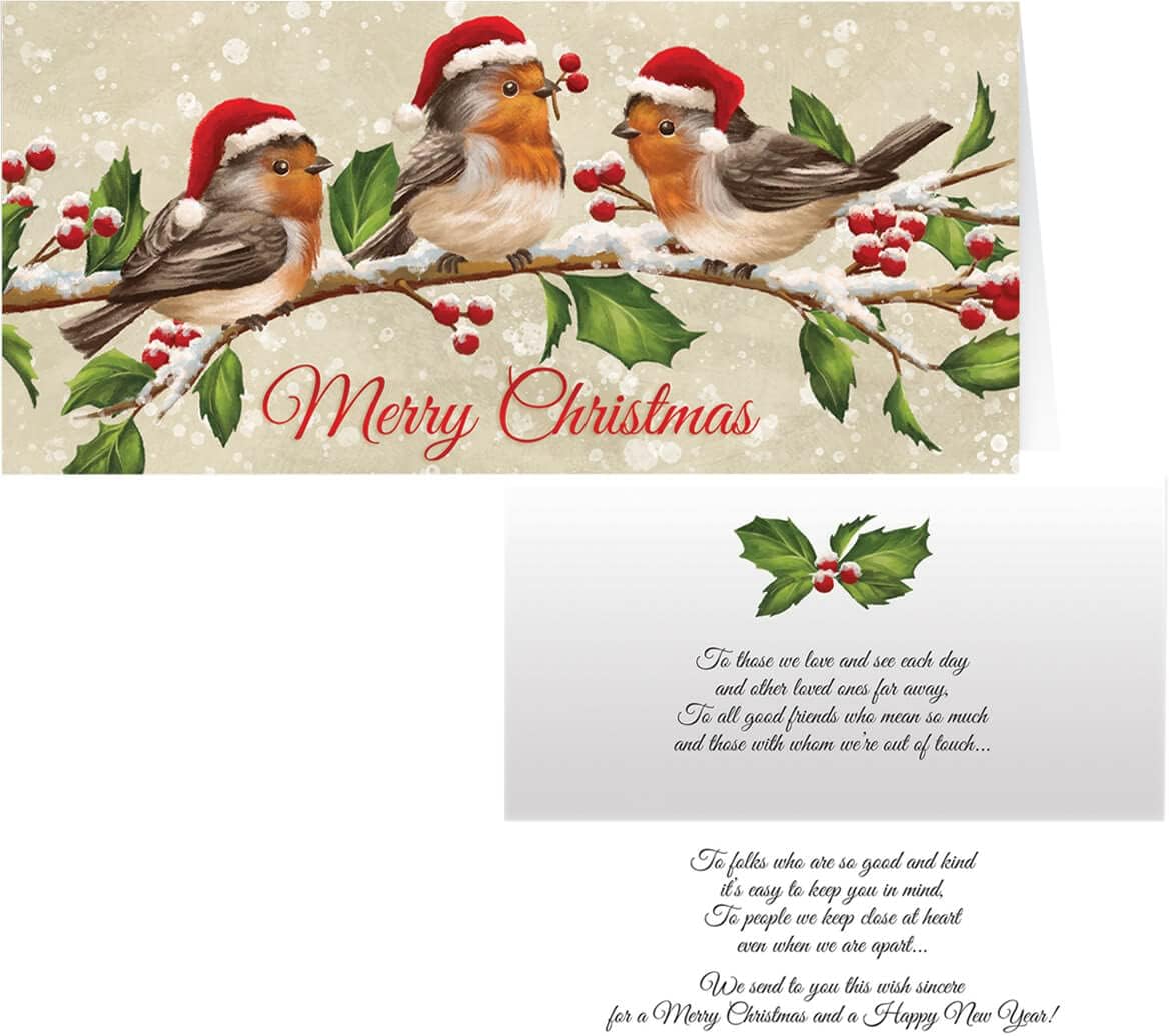 Amazon.com : The Best Card Company - 10 Holiday Note Cards for ...