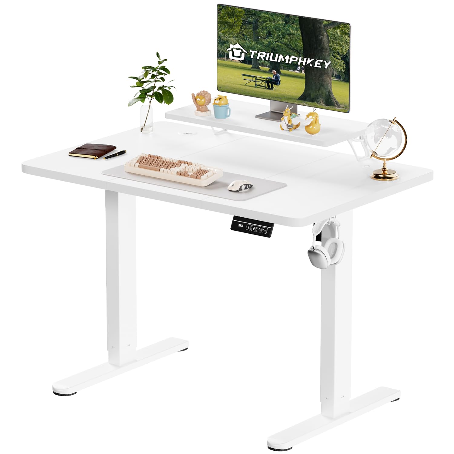 TRIUMPHKEY Electric Standing Desk with Monitor Shelves 120x60cm Height ...