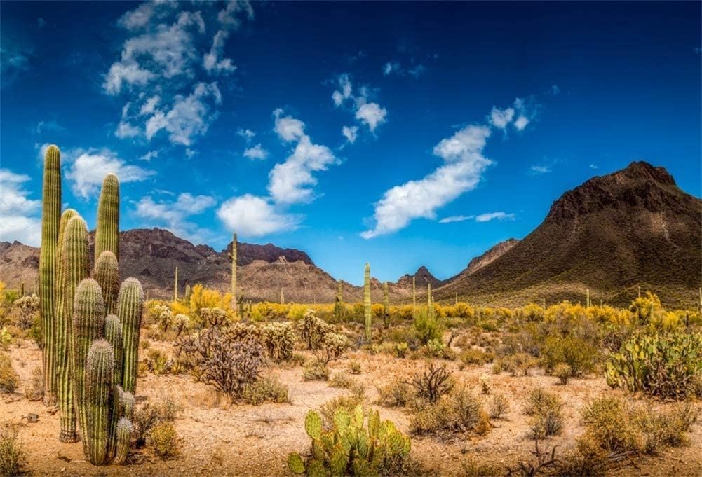 Amazon.com : Saguaro Cactus Arizona Desert Landscape Photography ...