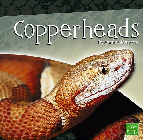 Copperheads (First Facts: Snakes): Mattern, Joanne: 9781429619257 ...