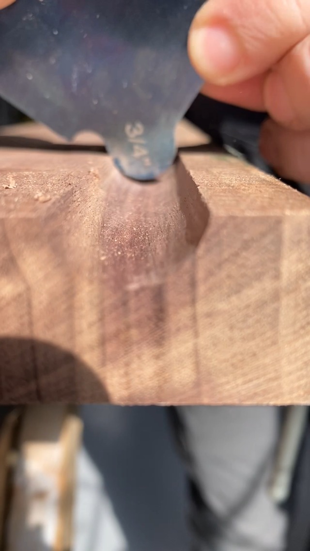 Snapklik.com : DFM Tool Works Curved Cabinet Scraper Cards - Precision ...