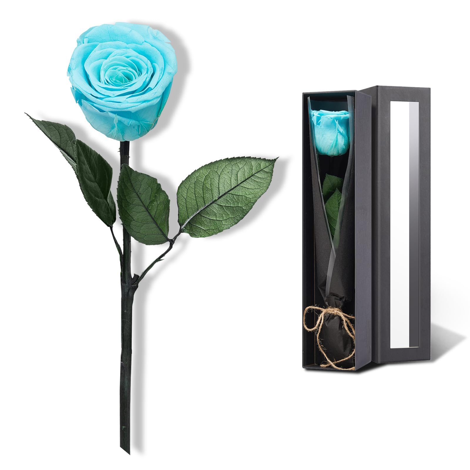 Sky Blue Rose Flower