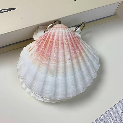 Amazon.com : Abalone Shell/Lion’s Paw Shell/Scallop Shell Journal, 30 ...