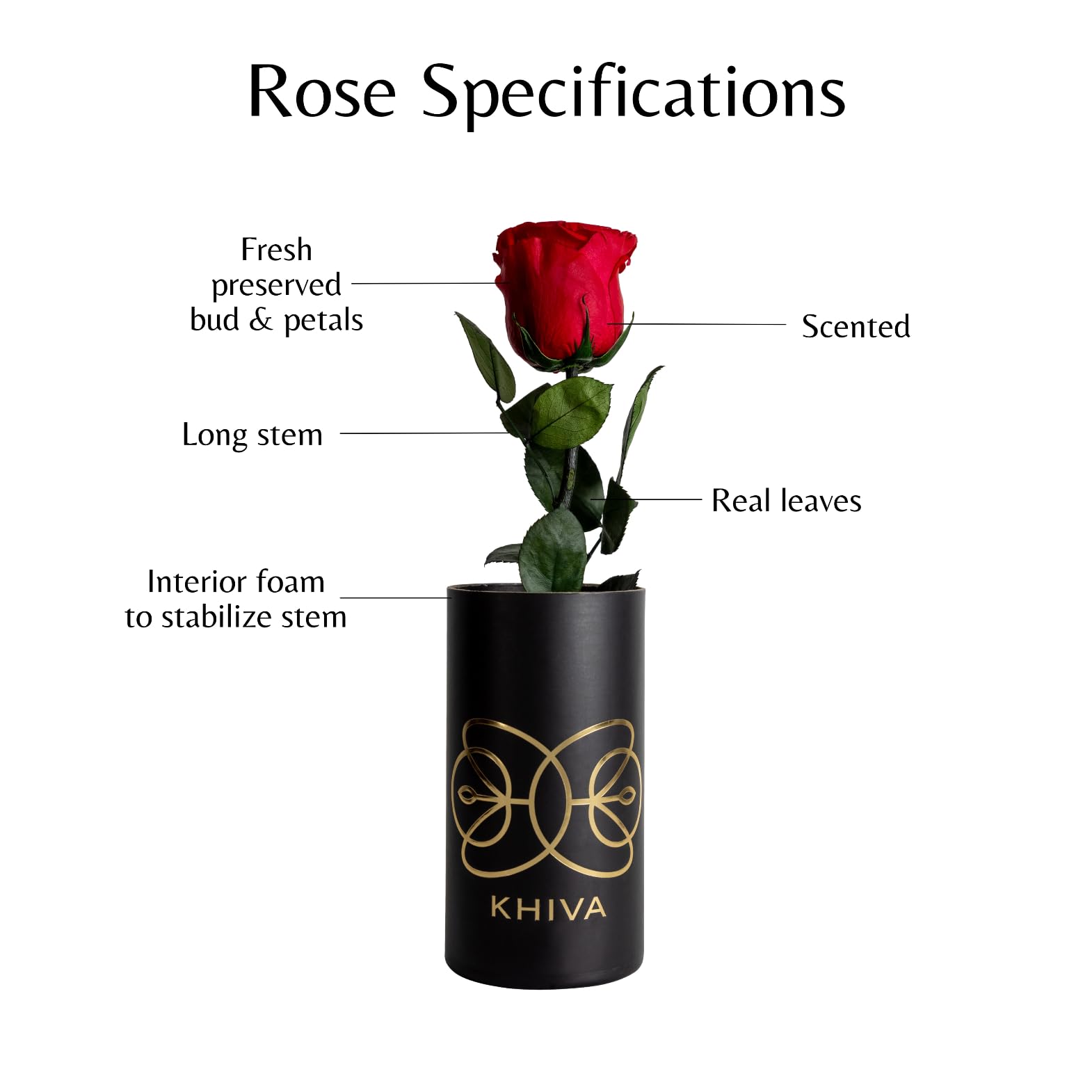 Snapklik.com : Preserved Red Rose Scented Forever Flower Single Rose ...
