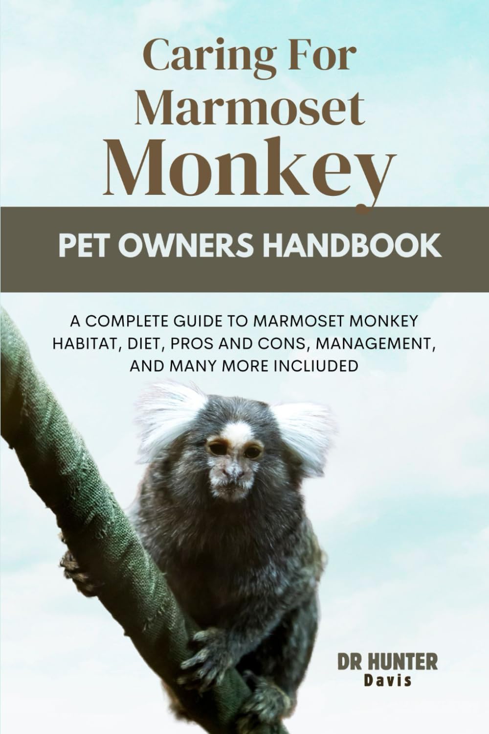 Marmoset Monkey Pet Care