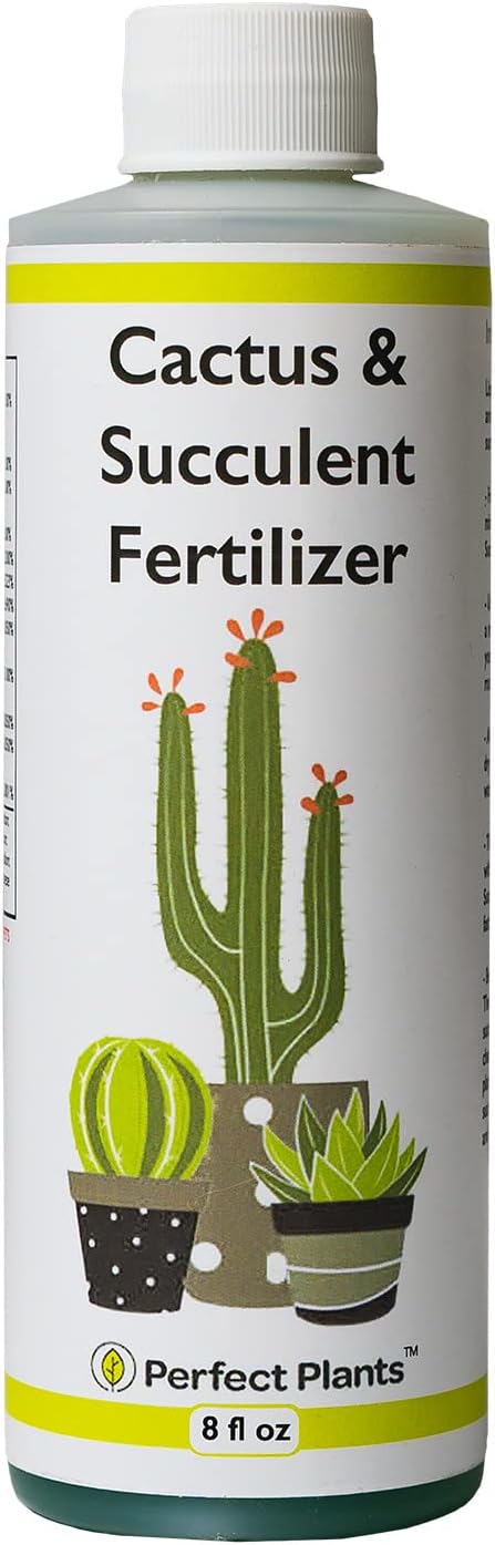 Amazon.com : The Grow Co Succulents & Cactus Plant Food - Gentle Long ...