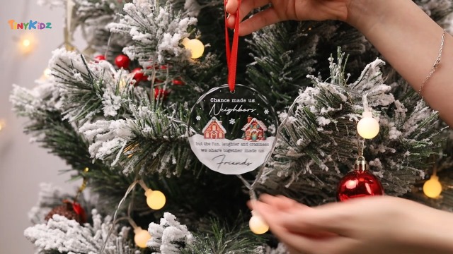 Watch Chance Made Us Neighbors Ornament on Amazon Live