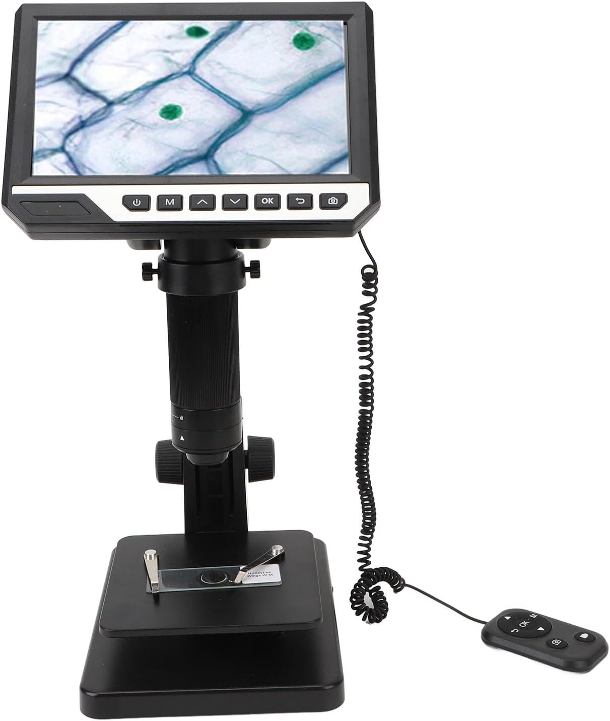 Amazon.com : CFTGIW 500X 2000X Digital Biological Microscope Dual Lens ...