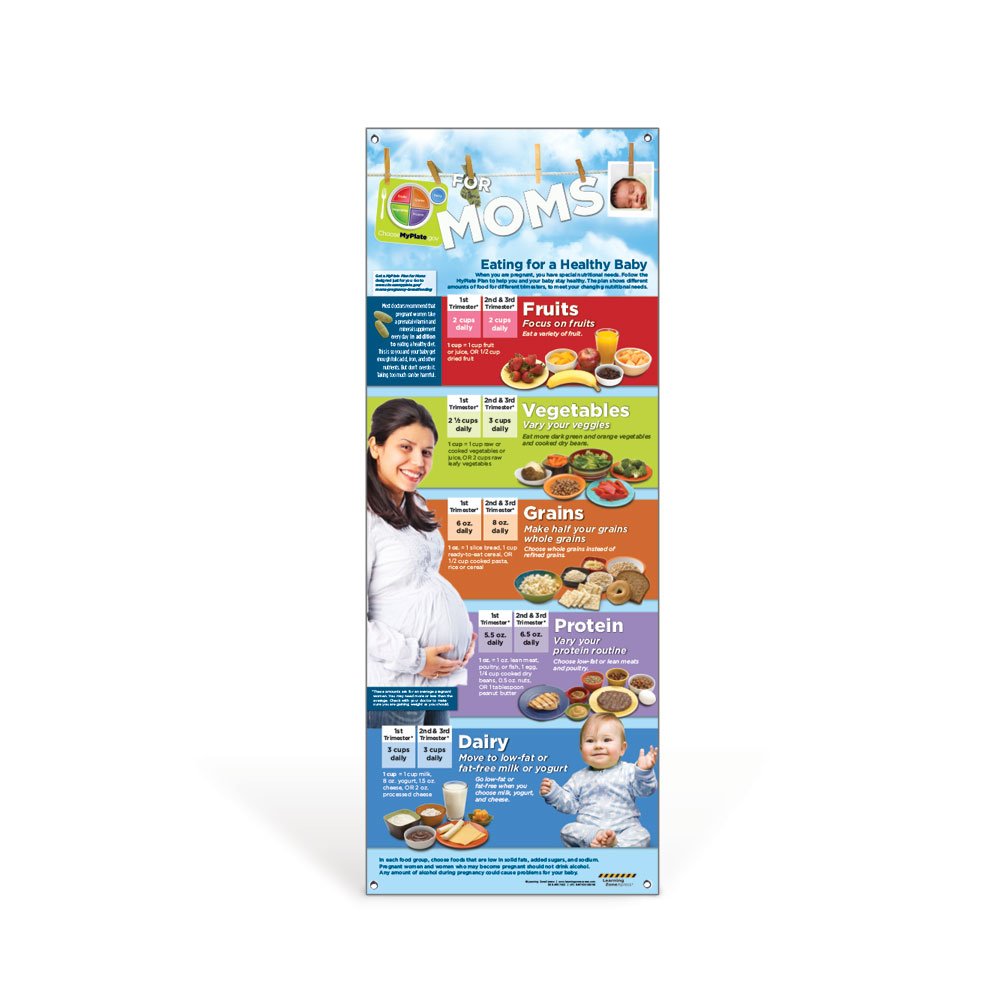 Pregnancy Nutrition Myplate Set Of Pregnancy Nutrition Cards