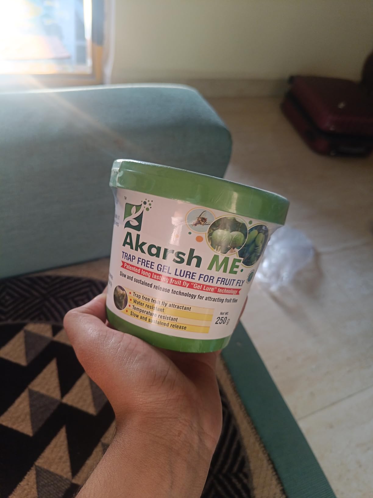 Akarsh ME Gel Lure for Fruit Fly (8) : Amazon.in: Garden & Outdoors