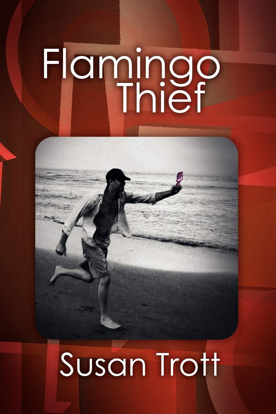 Flamingo Thief: Trott, Susan: 9780557652280: Amazon.com: Books