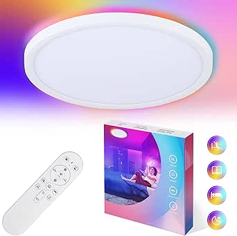 VocgoUU RGB Ceiling Light with Remote Flush Mount, 12 Inch Remote ...