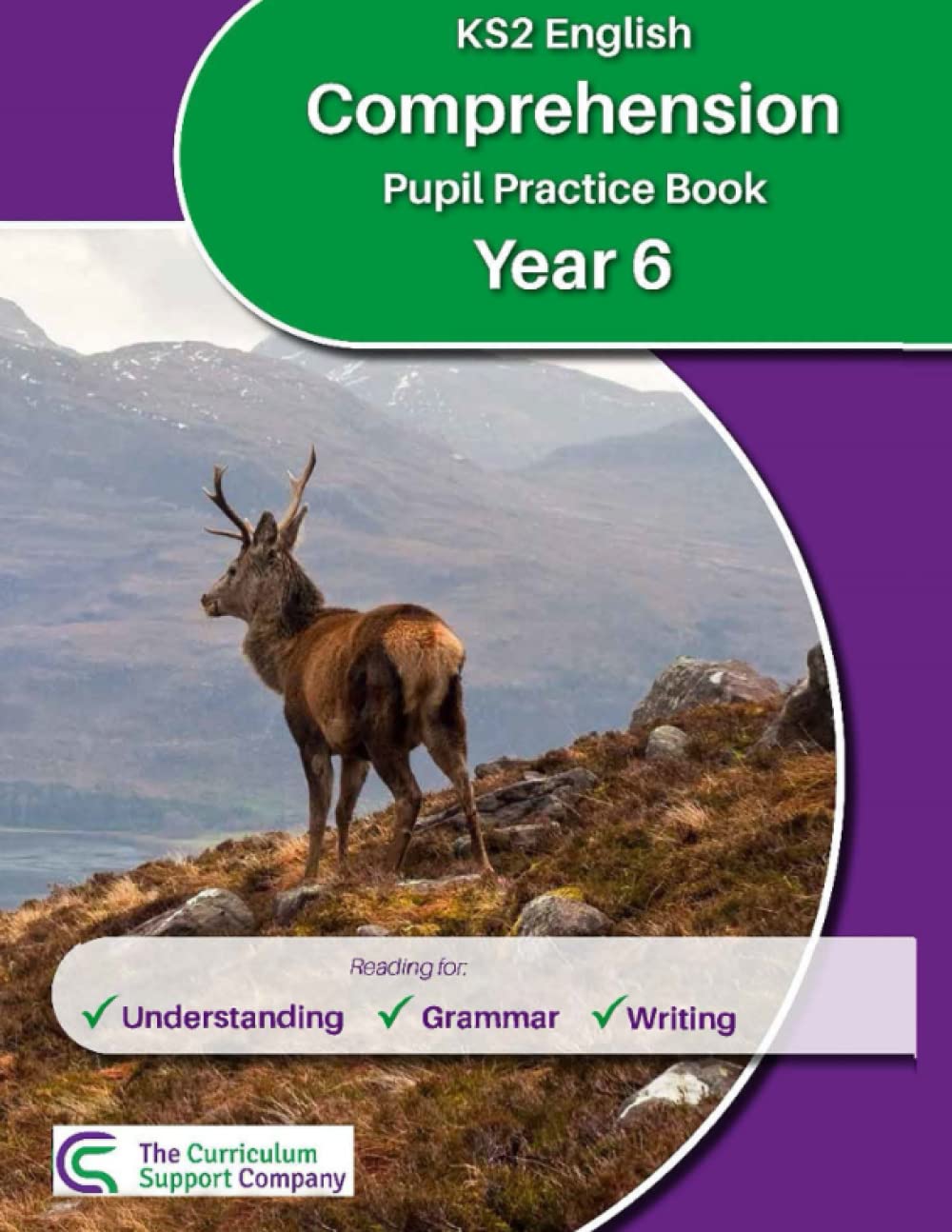 KS2 English Comprehension Pupil Practice Book: Year 6: Amazon.co.uk ...