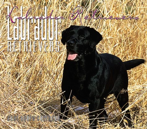 Labrador Retrievers 2001 Calendar: unknown author: 9780763133337 ...