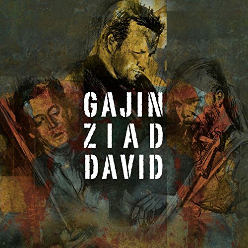 Gajin / Ziad / David by Laurent David, Nenad Gajin, Karim Ziad on ...