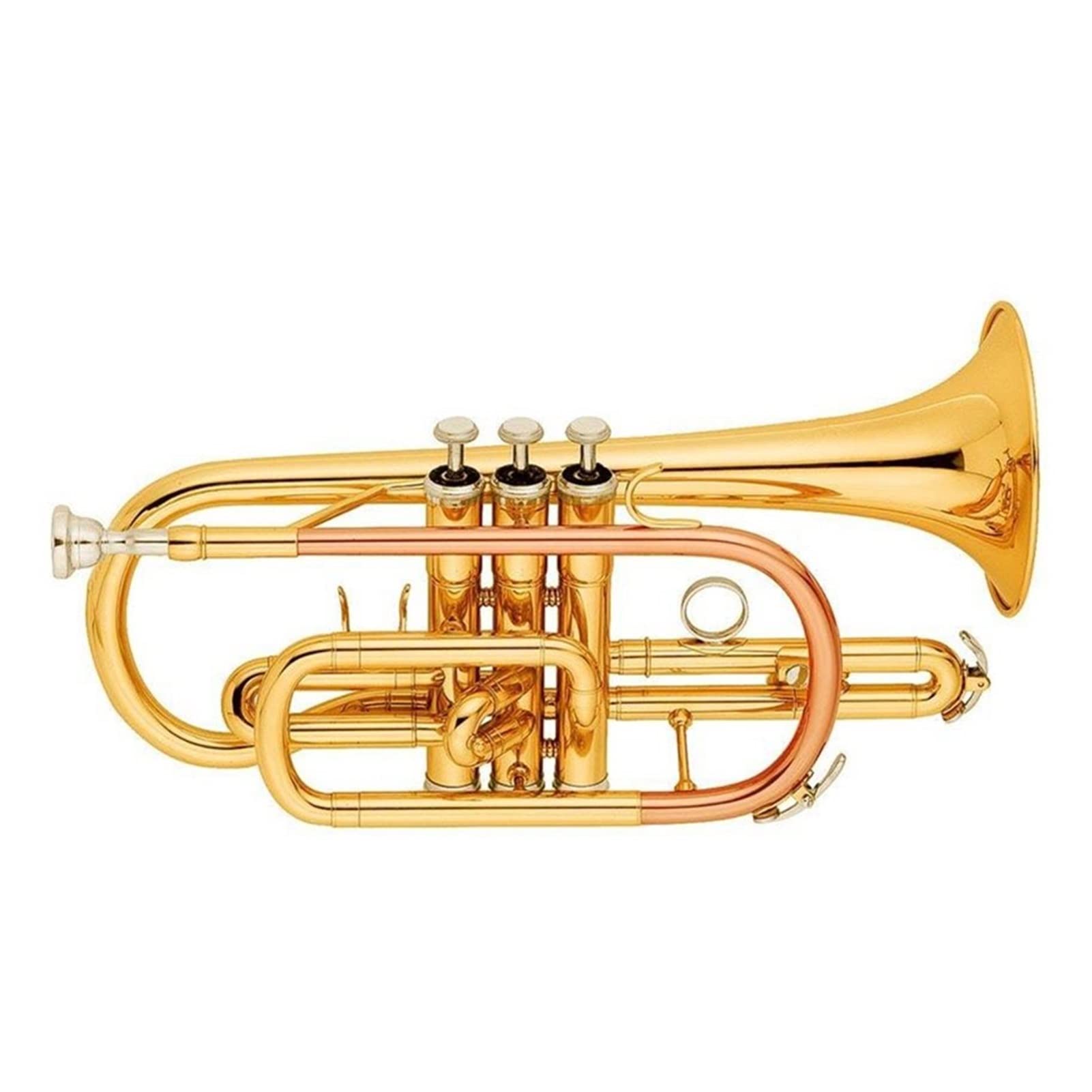 FLFL Student Trumpet Lacquered Gold Charger Assembled Number Step Brass ...