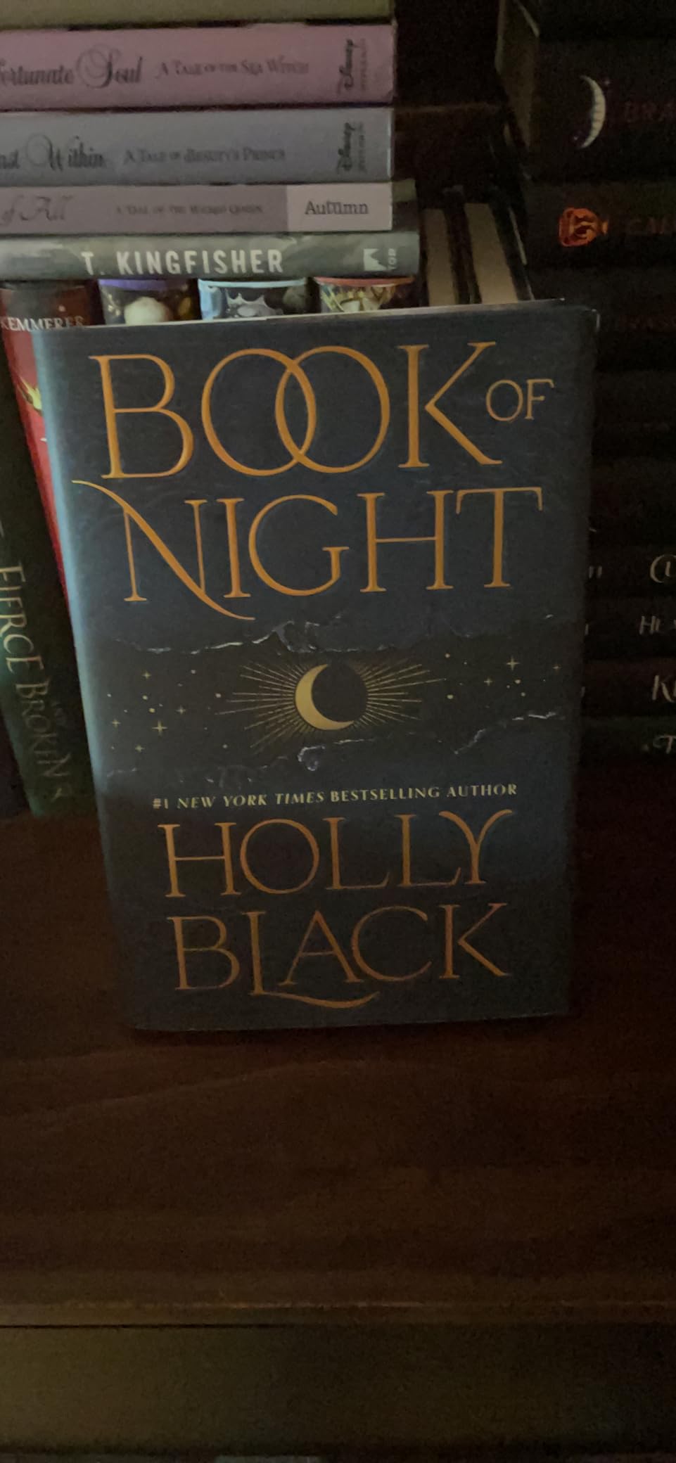 Amazon.com: Book of Night: 9781250873873: Holly Black: Books