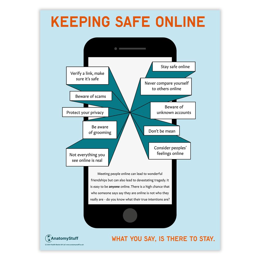 AnatomyStuff Keeping Safe Online Poster/Chart 18x24 inches. 45 x 60 cm ...