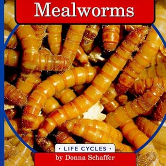 Mealworms (Life Cycles): Schaffer, Donna: 9780736832960: Amazon.com: Books