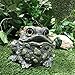 Amazon.com: Toad Hollow Cromwell The Croaking Motion Activated Frog ...