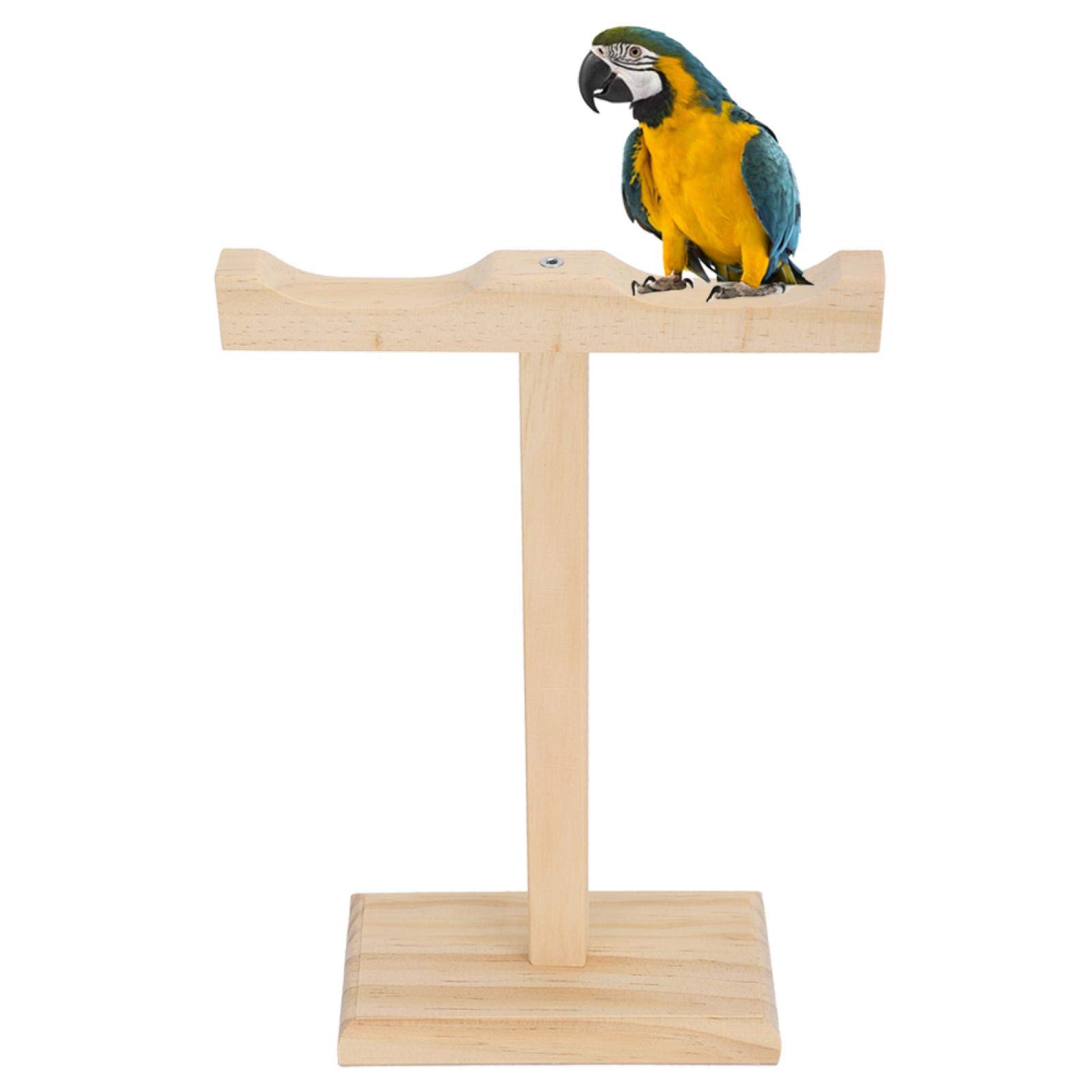 Snapklik.com : Bird Standing Perch, Portable Bird Play Stand Parrots ...
