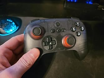 Amazon.com: VITURE x 8BitDo Ultimate C Bluetooth Controller for Switch ...