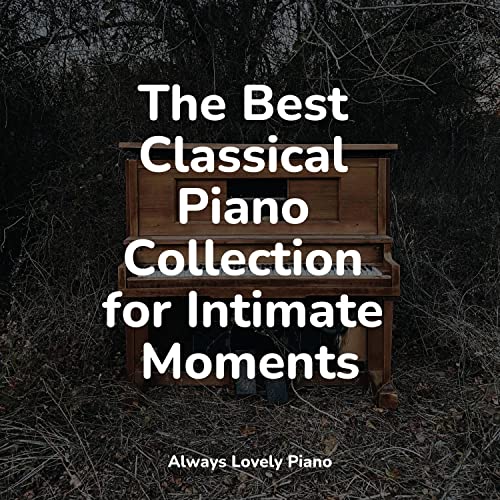 The Best Classical Piano Collection for Intimate Moments de Brain Study ...