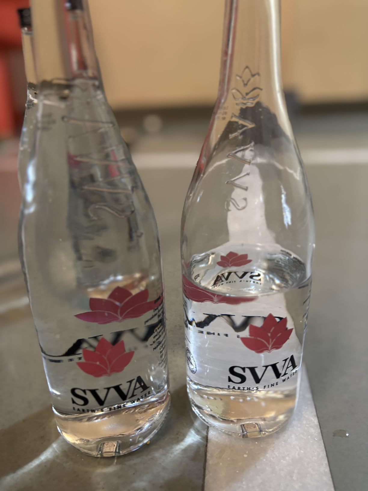 SVVA Earth's Finest Water Premium Subterranean Water | 750 ML Pack 24 ...