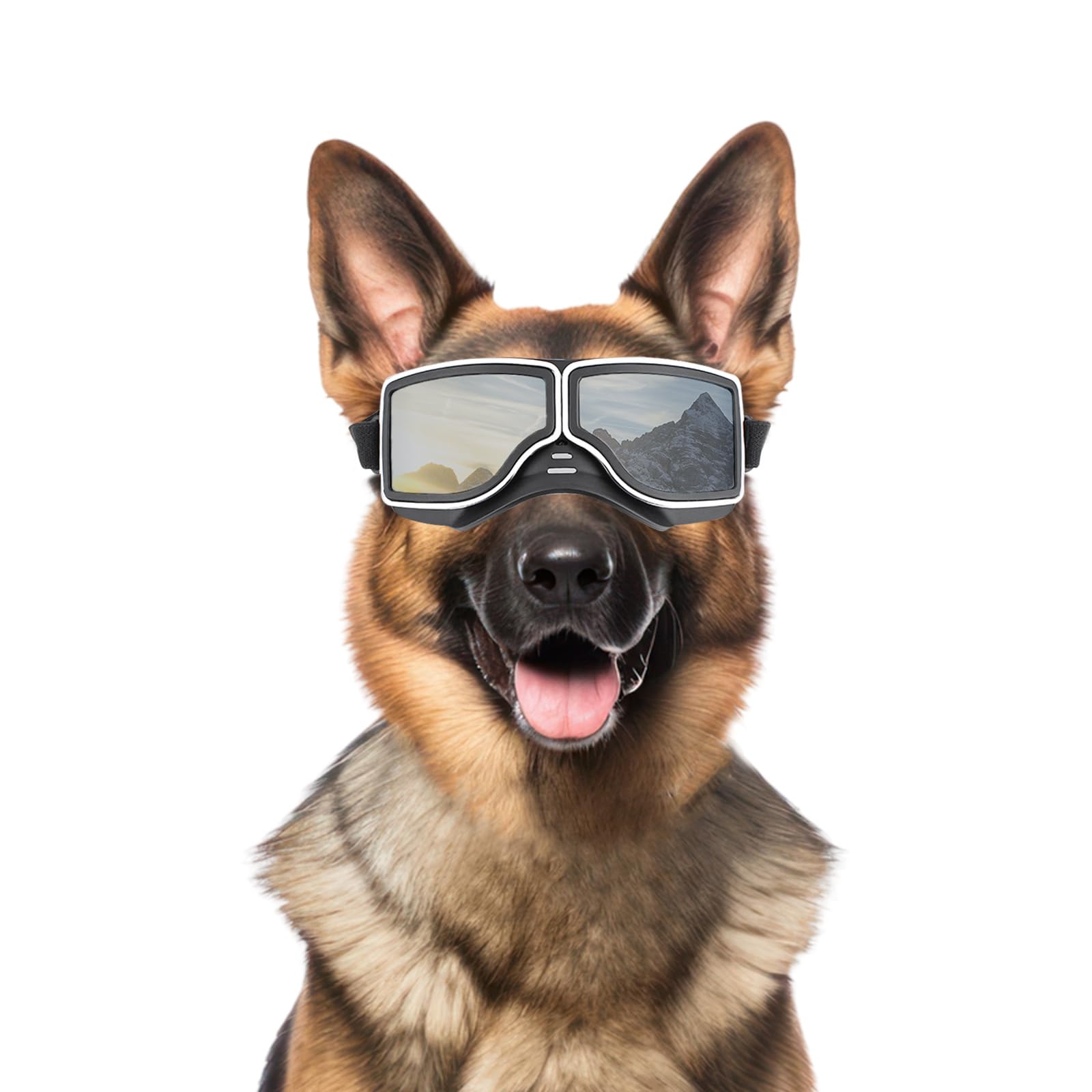 Amazon.com : NAMSAN Dog Goggles Medium to Large Breed, Wide Snout, Anti ...