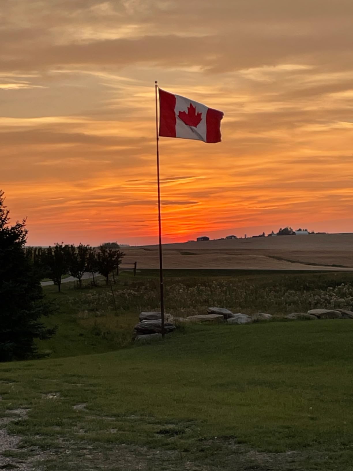 FLAGBURG Large Canada Flag 5x8 FT Large Heavy Duty Canadian Flag with ...