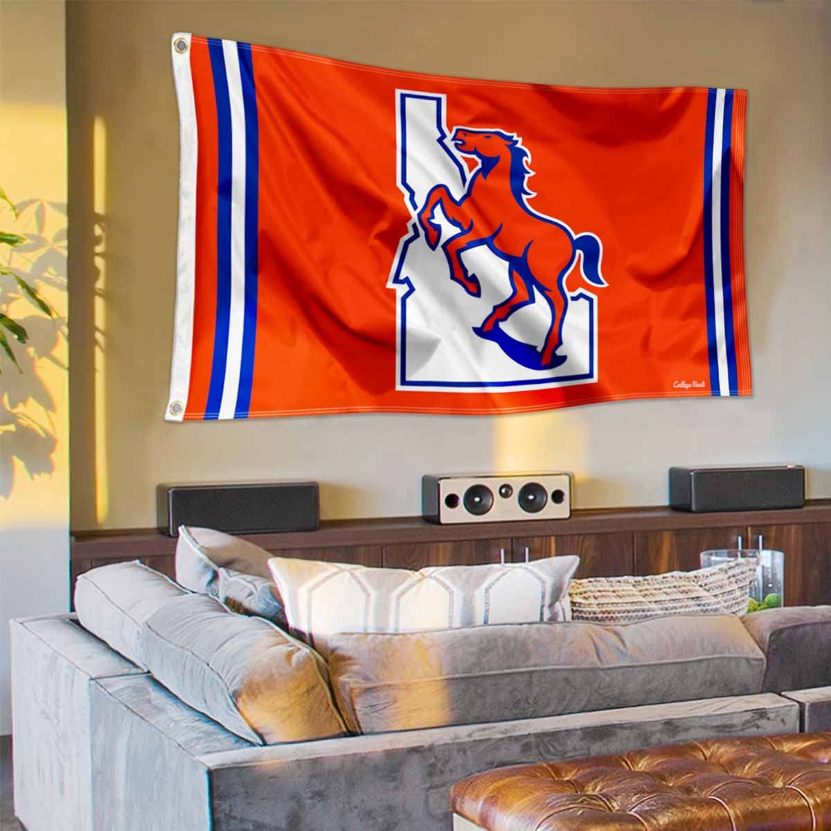 Officially Licensed College Merchandise Boise State Broncos Vintage ...