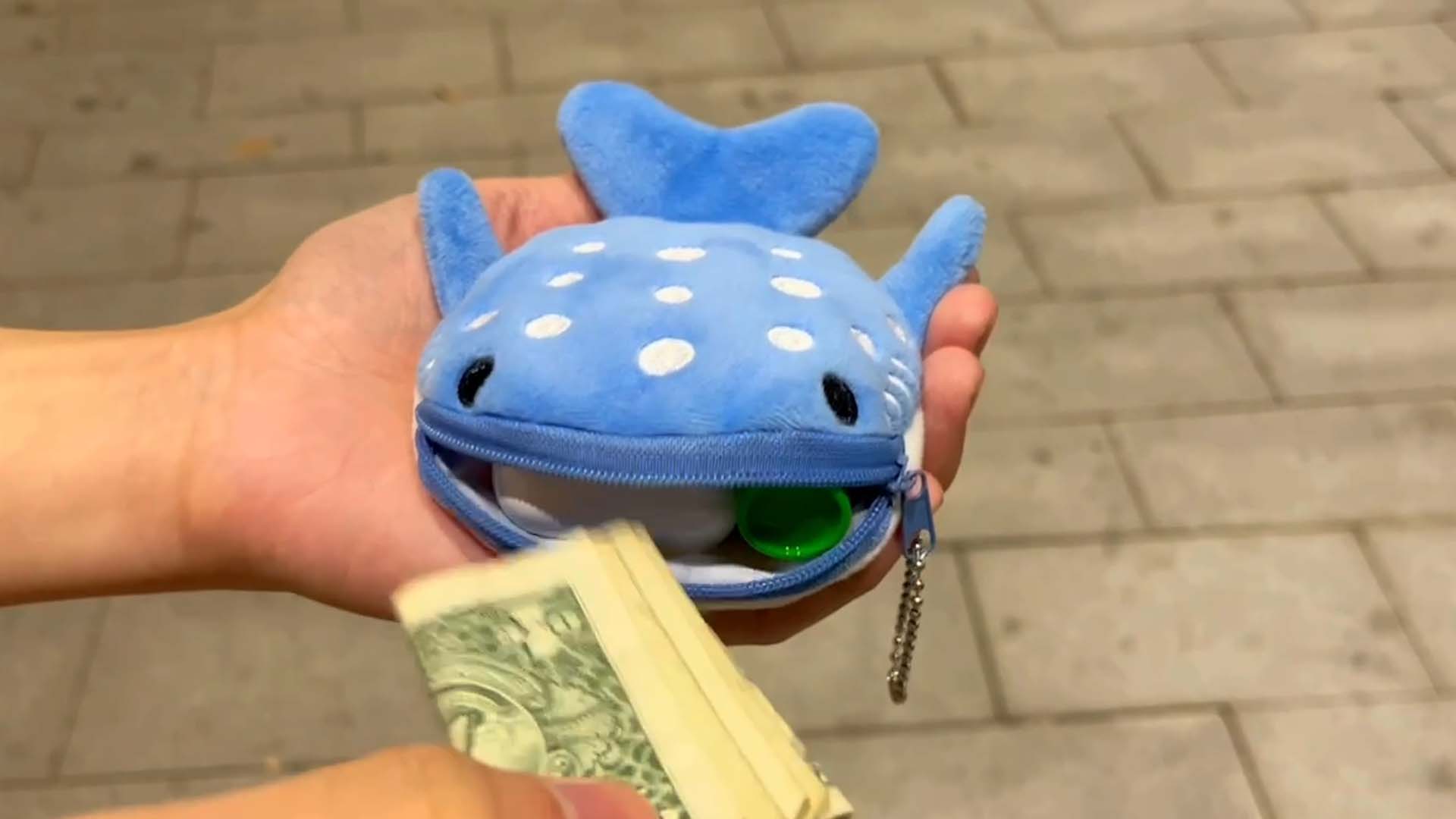 Watch Unzip the fun with Krinisou hilarious shark wallet! on Amazon Live