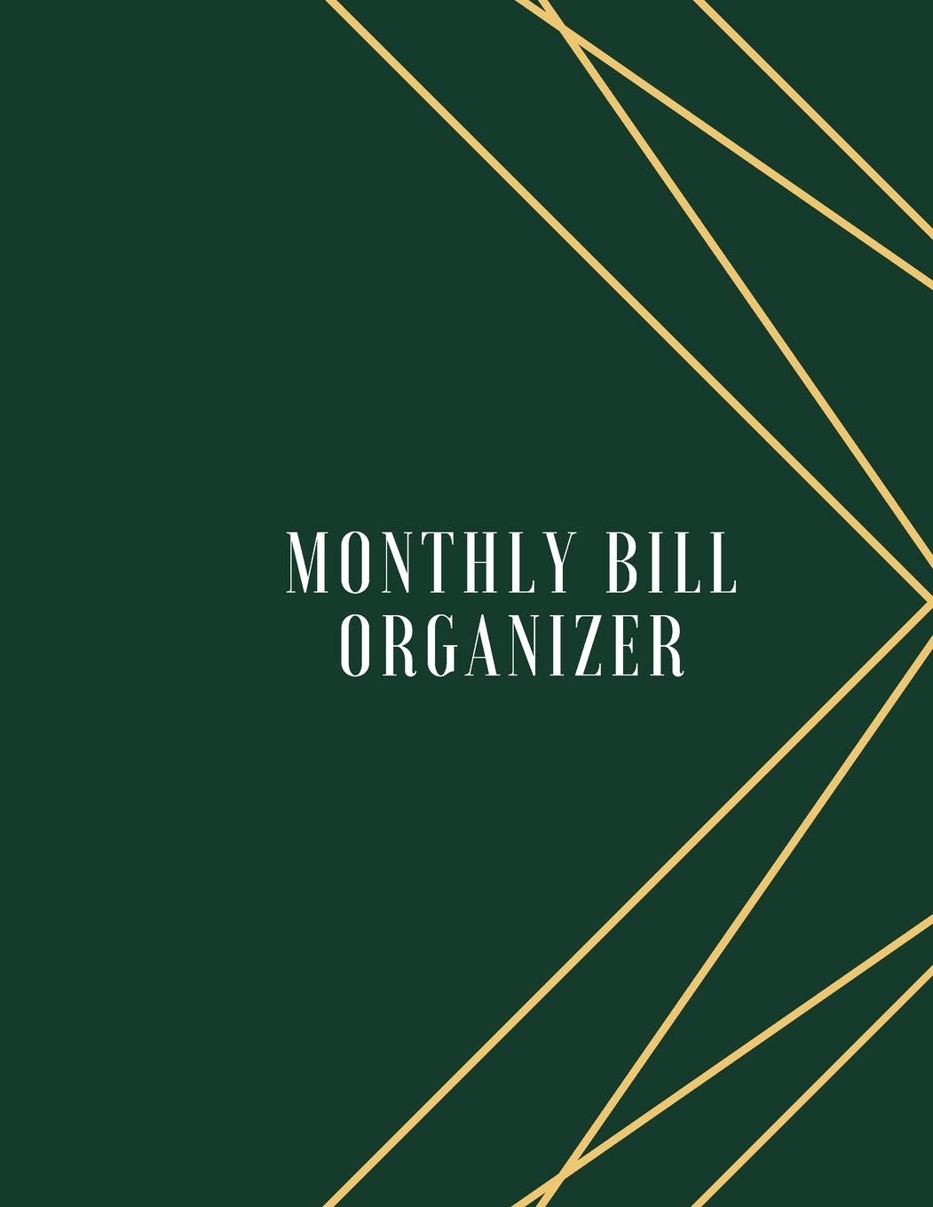 Amazon.com: Monthly Bill Organizer: 31 day family organizer expense ...
