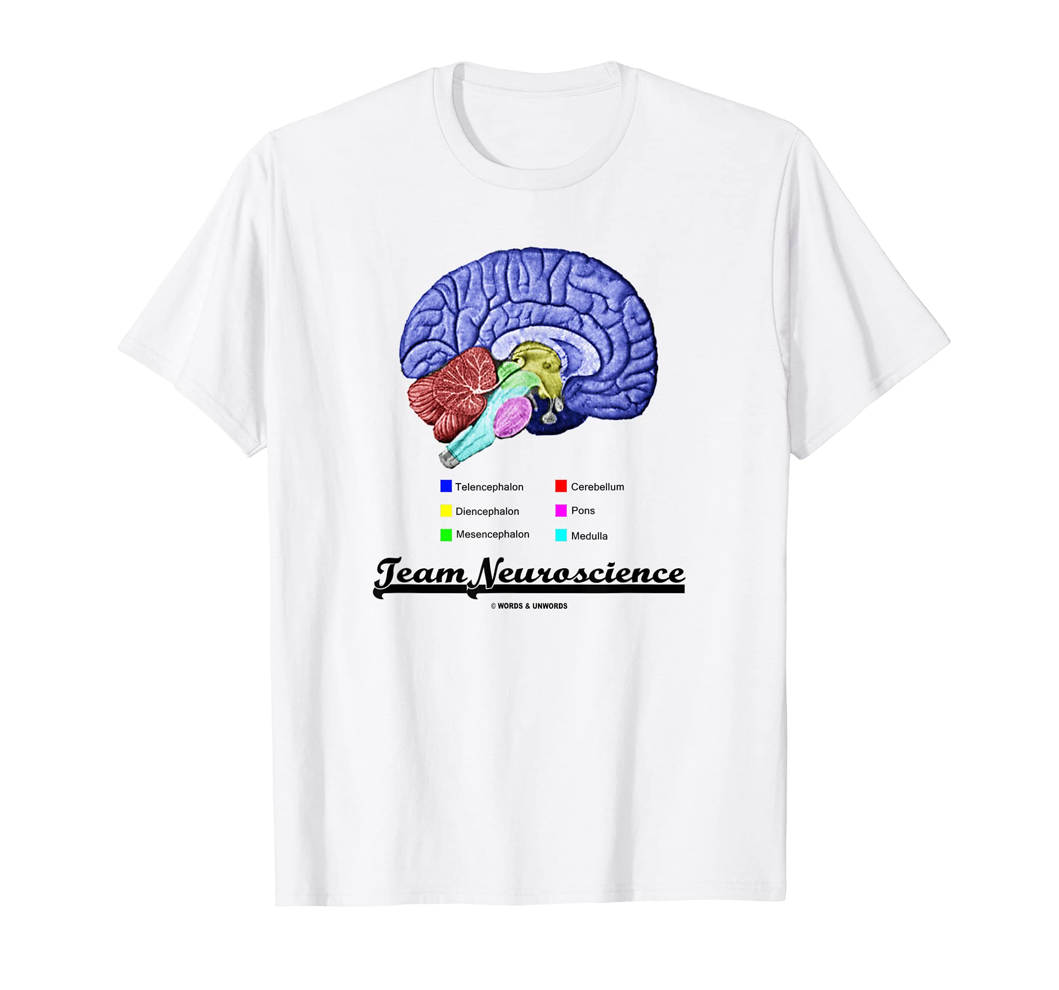 Snapklik.com : Team Neuroscience Human Brain Anatomy Anatomical Humor