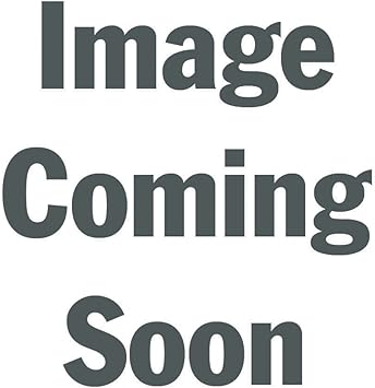 Amazon.com: 100' Multicolor Pennant Banner (1PC/PBH) : Patio, Lawn & Garden