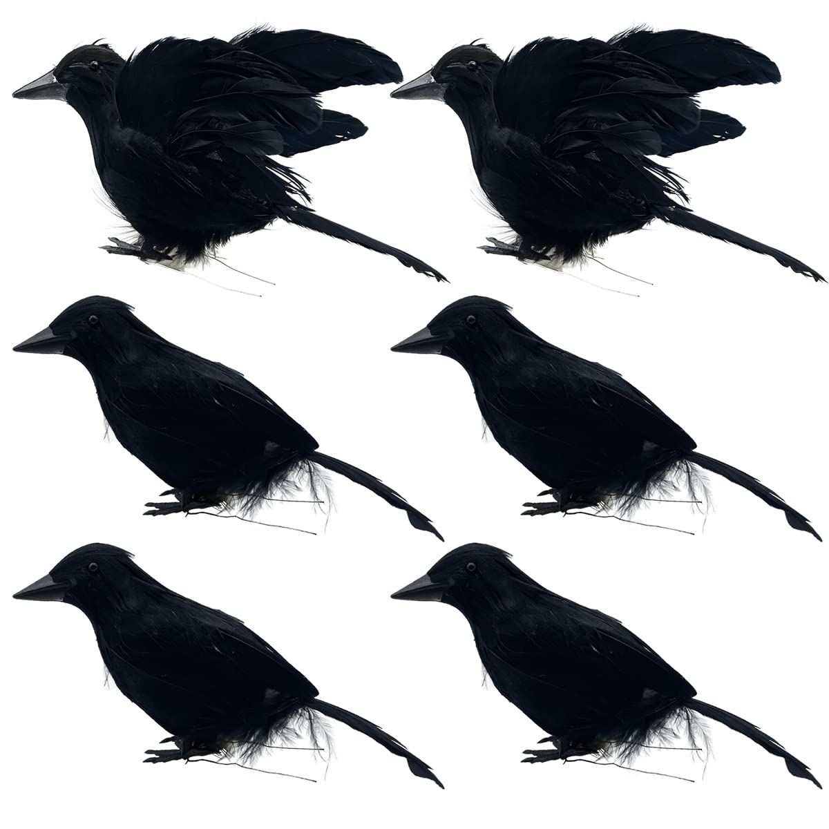 Amazon.com: LWINGFLYER 6pcs Black Crows Halloween Decorations Feathered ...
