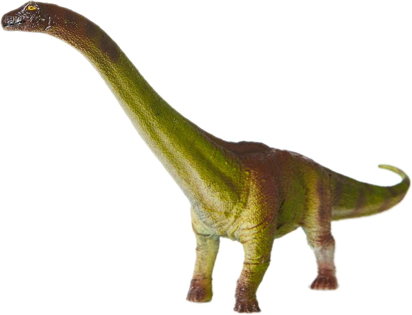 Natural History Museum Titanosaur Dinosaur Model - colossal herbivore ...