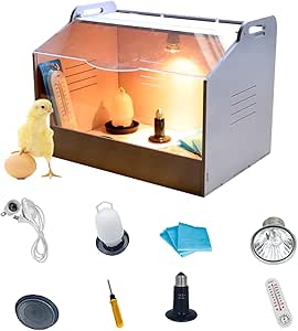 Amazon.com: MNBVH Chick Brooder Box for 10-15 Newborns Parrot Duckling Chicks Birds Small ...