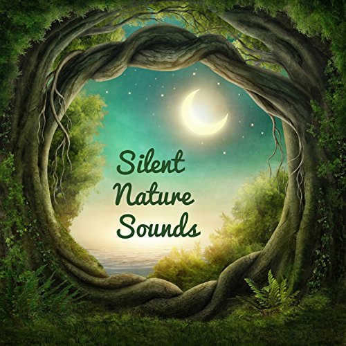 Amazon.com: Silent Nature Sounds : Nature Sounds, Meditation Relaxation ...