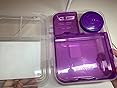 Amazon.com: Sistema Bento Box Adult Lunch Box with 2 Compartments ...