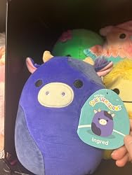 Amazon.com: Squishmallows Original 8-Inch Ingred Purple and Black ...