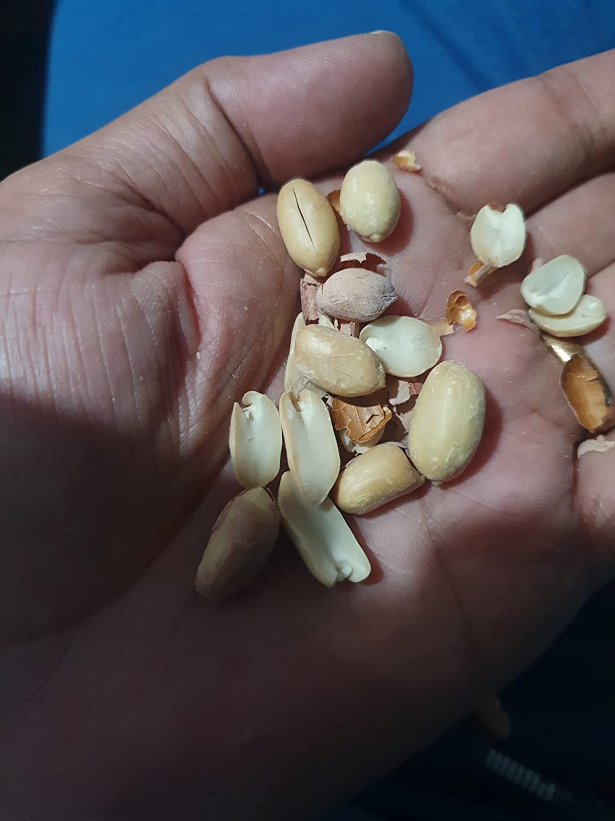 Avenn Jumbo Salted Peanuts | Gujrat Special Roasted Mungfali Without ...