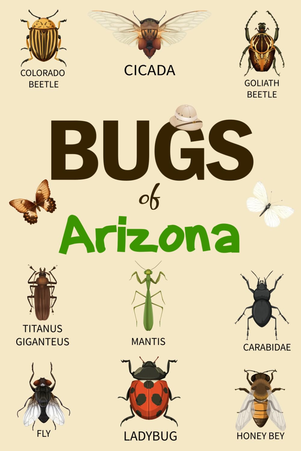 Arizona Desert Beetles Ten Prominent Beetles Native To Arizona A Z