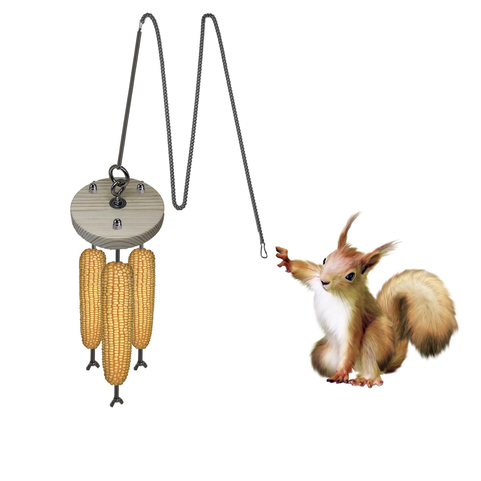 Amazon.com : Squirrel's Delight: Hanging Corn Cob Feeder for Outside ...
