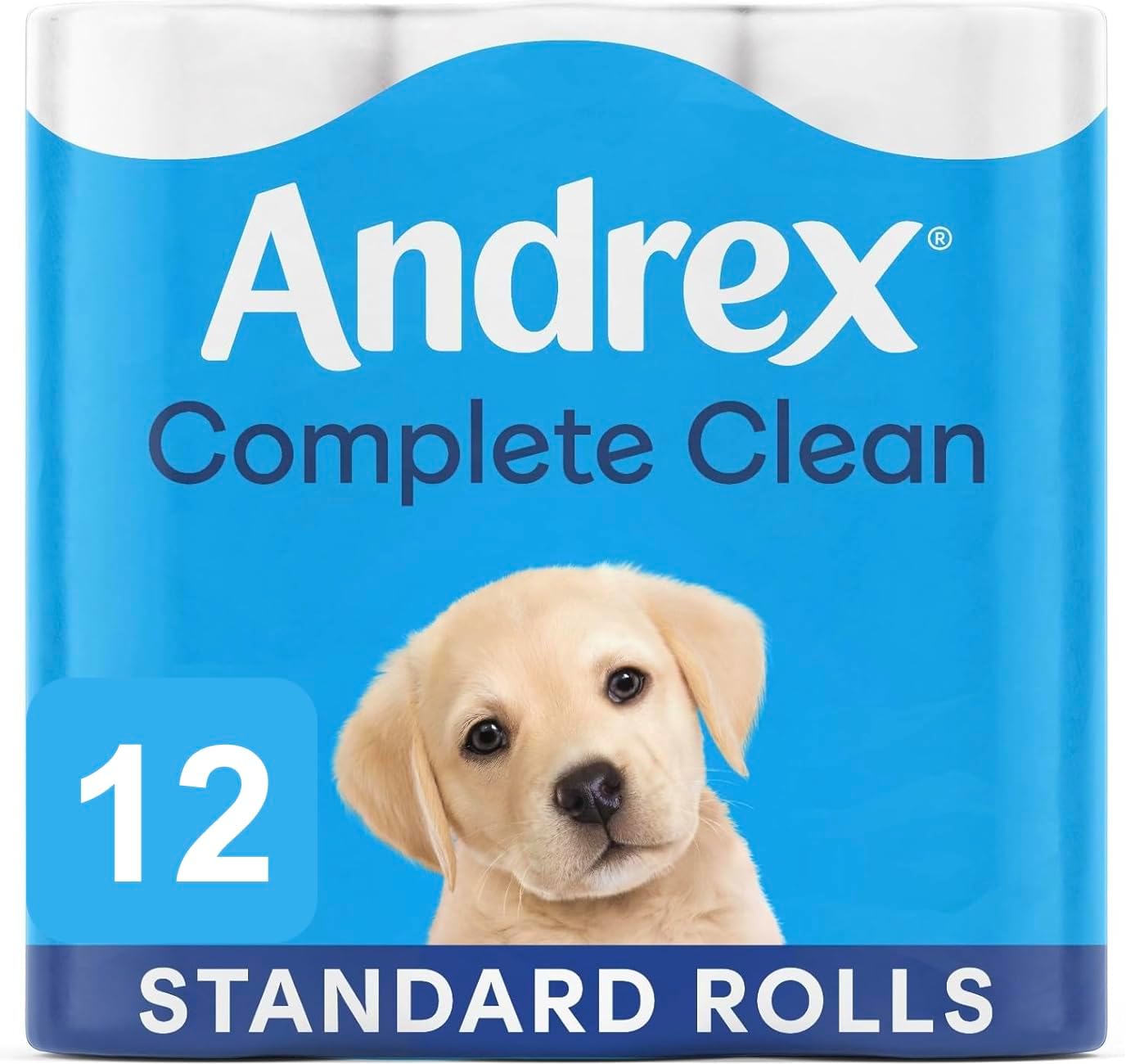 Andrex Classic Complete Clean Toilet Tissue, 12 Rolls : Amazon.co.uk ...