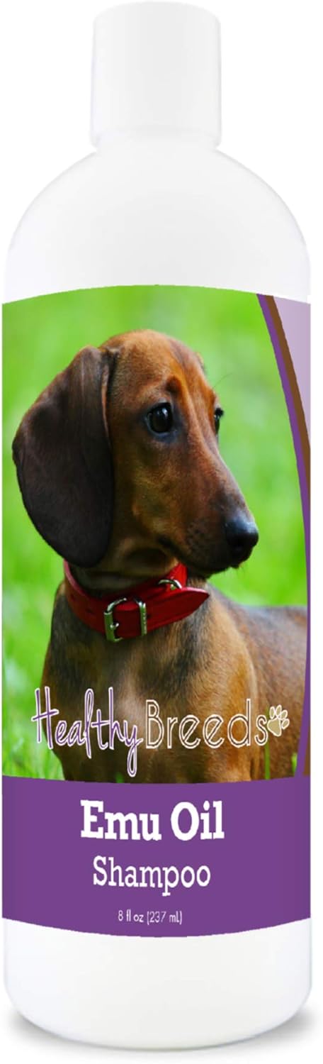 Amazon.com: Healthy Breeds Dachshund Emu Oil Shampoo 8 oz